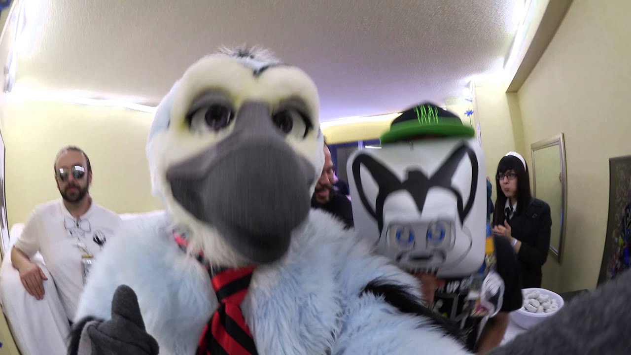 Further Confusion 2015 - BLFC Room Party - YouTube