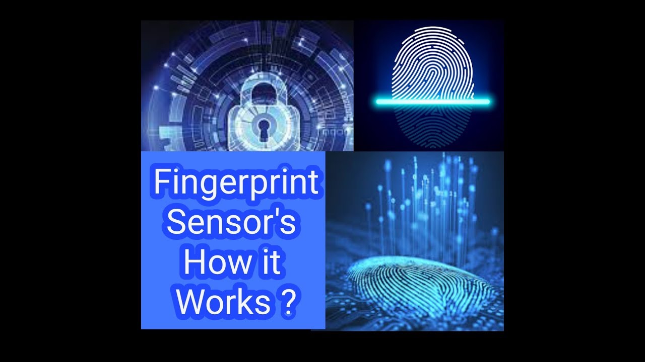Types of fingerprints and fingerprint sensors? How it works? In Hindi ...
