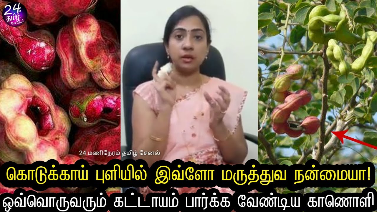இத்தனைநாள் இது தெரியாம போச்சே! | kodukkapuli health benefits in tamil ...