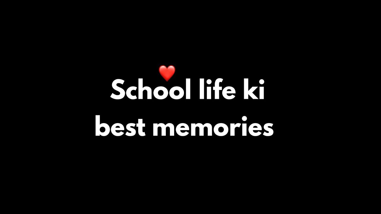 School Life Is The Best Life Wallpapers