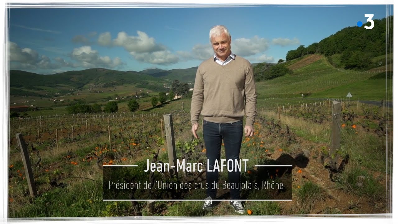Je tiens à ma terre : Jean-Marc Lafont, viticulteur dans le Beaujolais ...