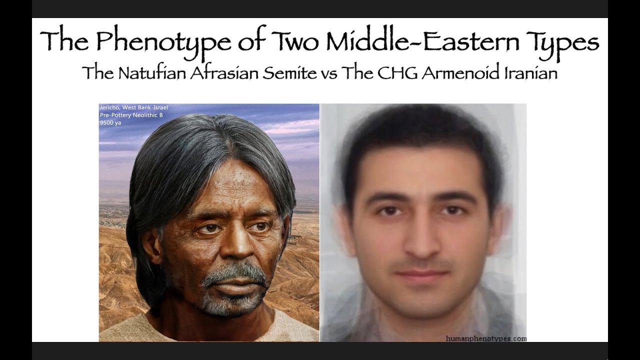 The Phenotype Of Two Middle Eastern Types Natufian Afrasian Semites And Indo European Iranians