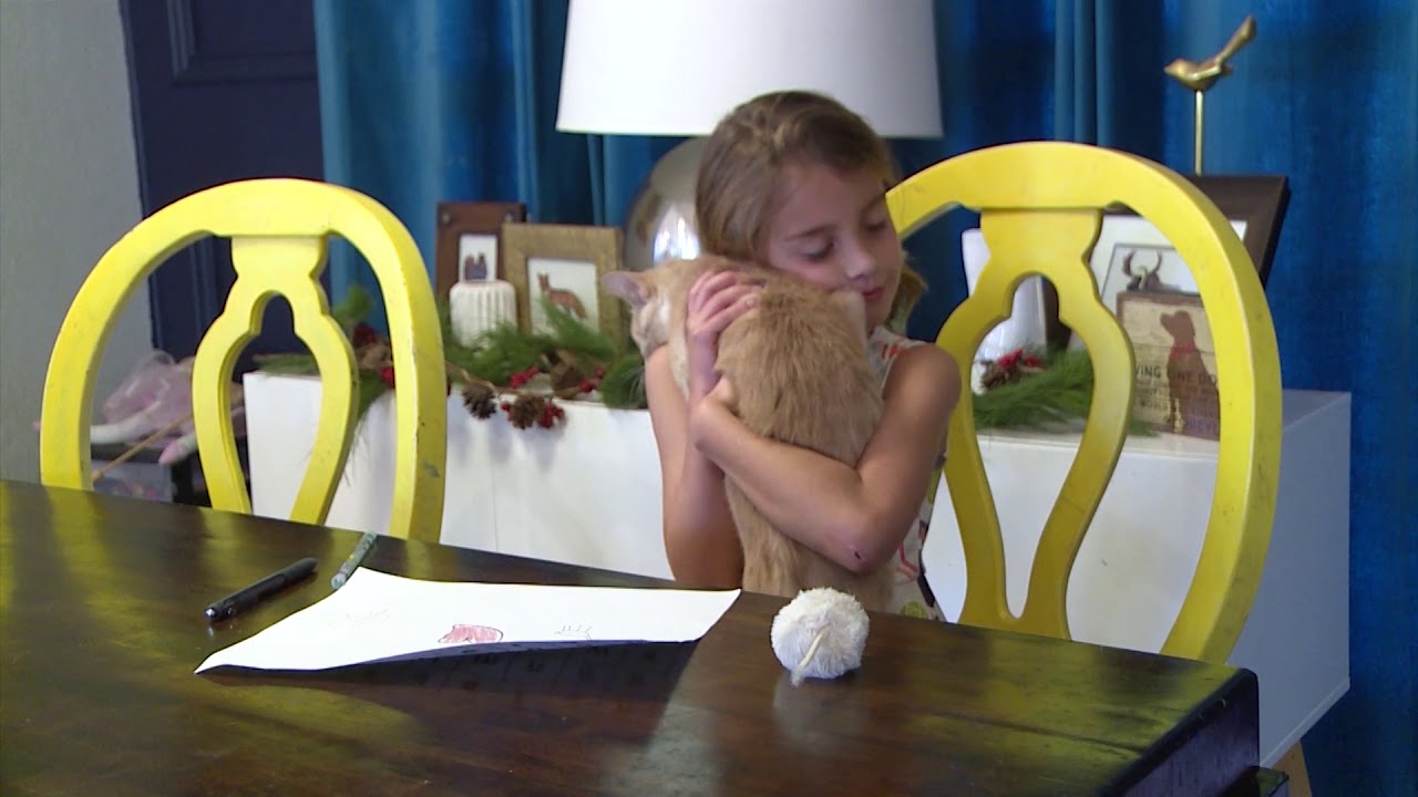 Tiffany Liou - Reporter/MMJ - Dallas - YouTube