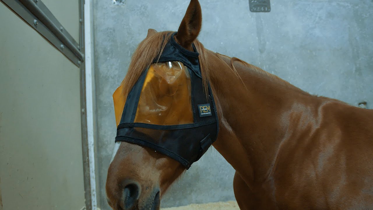 REM Mask from Xpert Equine - YouTube