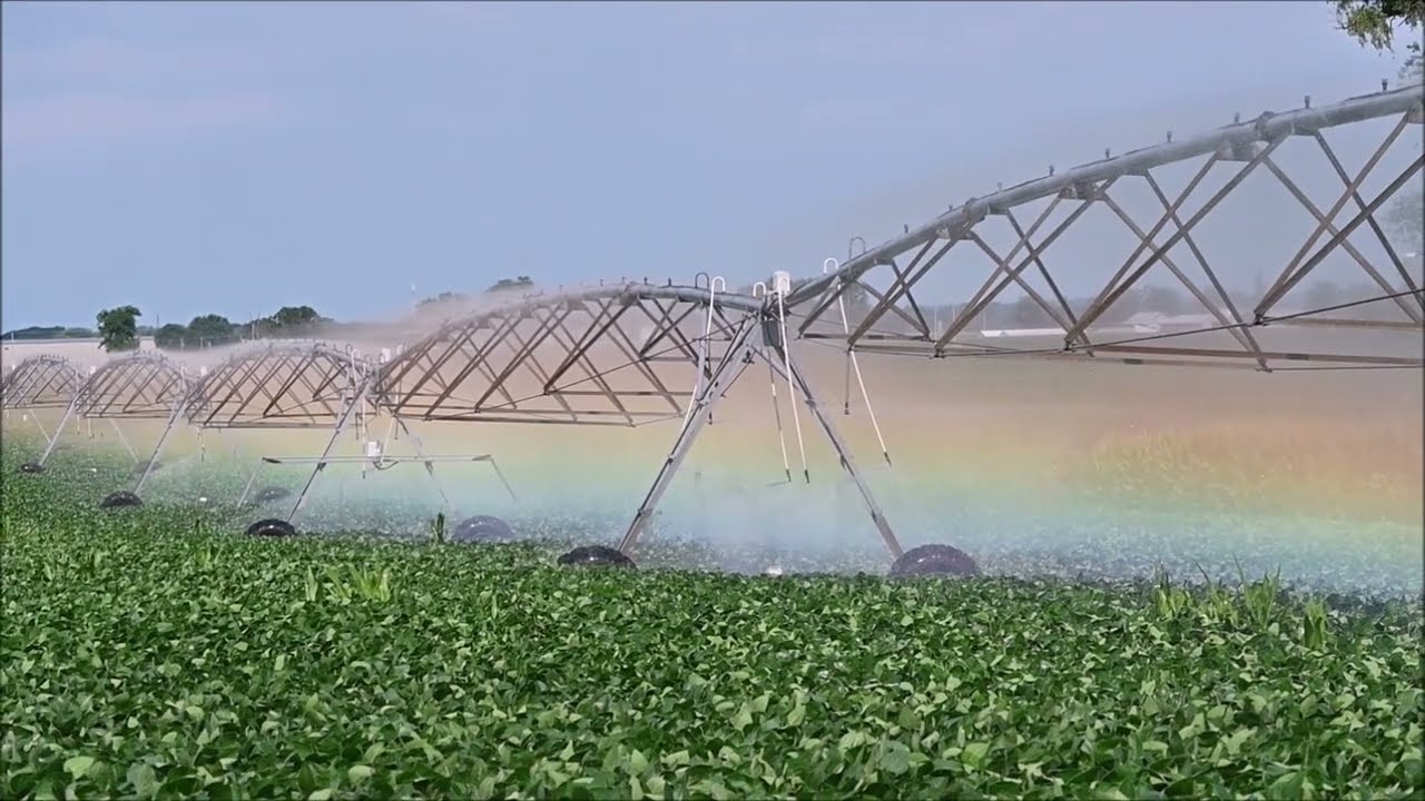 2022 Pivot Irrigation Rainbow July 23 - YouTube
