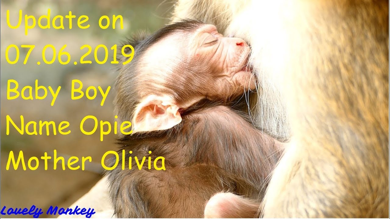 Update Baby Boy Opie & Mother Olivia | Day2 After Birth Baby Opie Keep ...