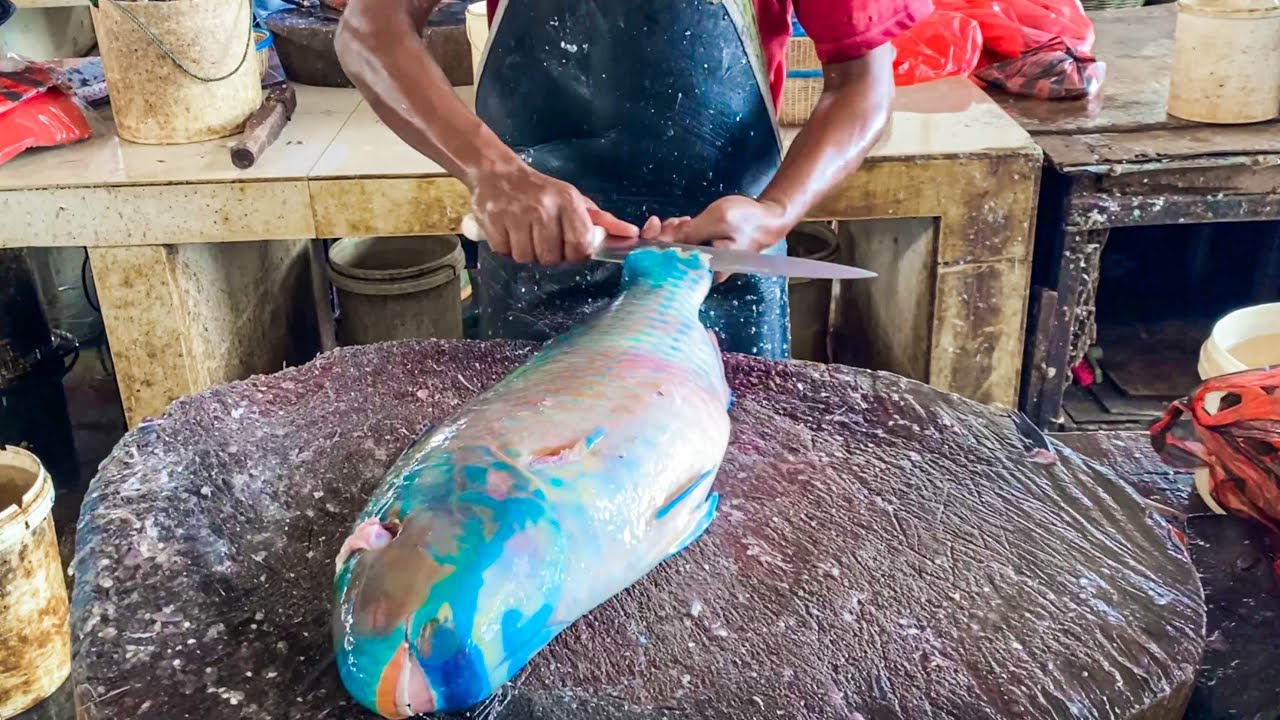 EXPERT & FAST FISH FILLETING || PARROT FISH RARE CUTTING IN INDONESIA ...