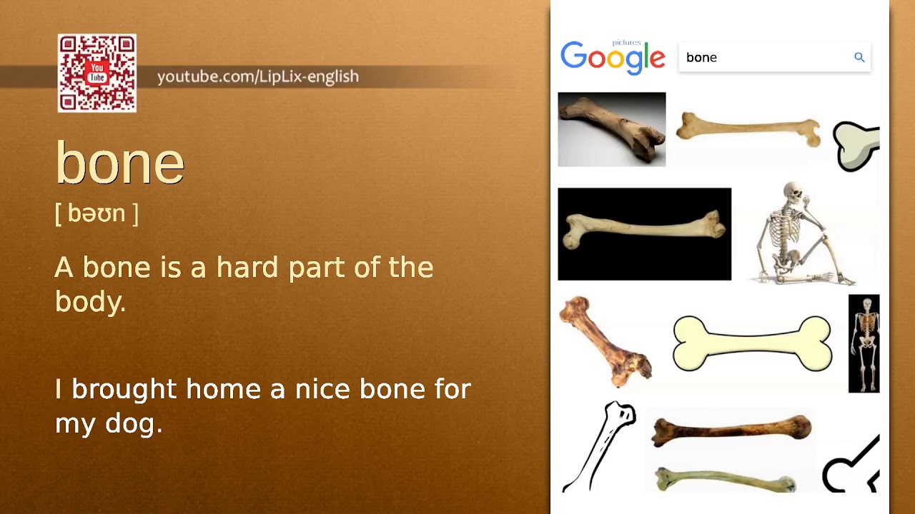 Bone : B1 level english vocabulary lesson, www.LipLix.com - YouTube