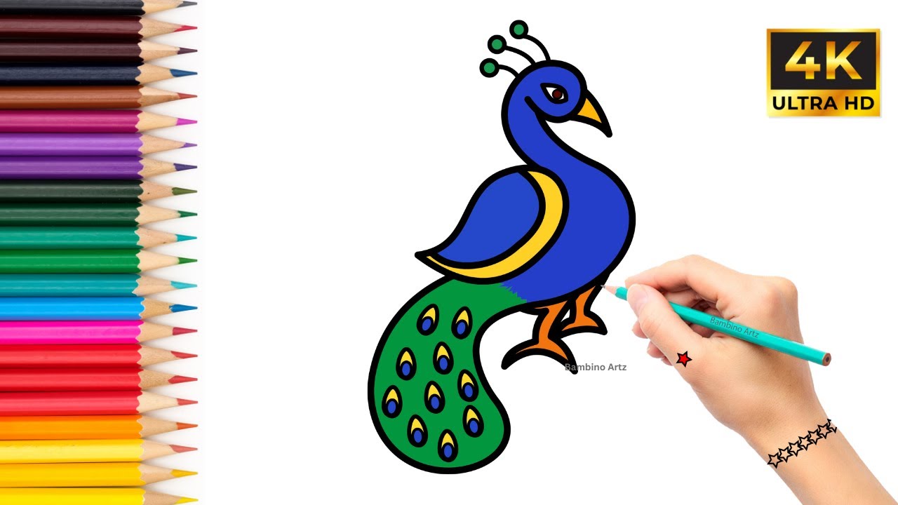 How to Draw a Peacock (Easy Step by Step Drawing Tutorial) @bambinoartz ...