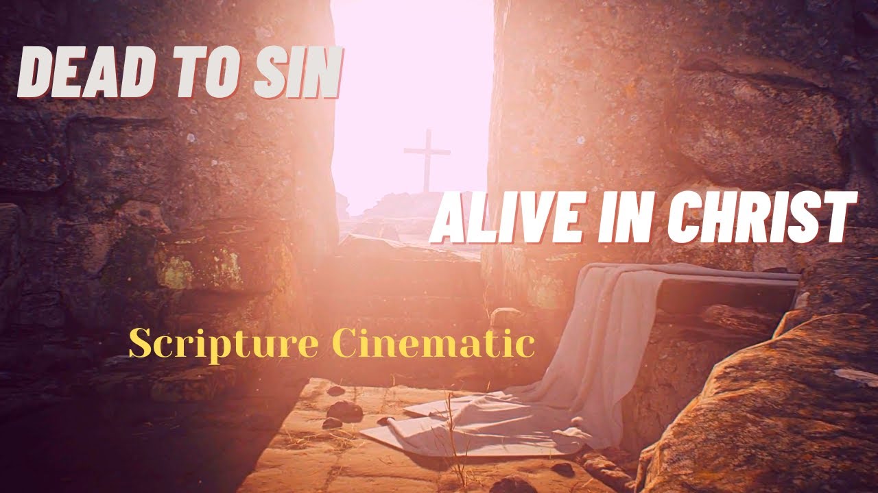 Dead to Sin Alive in Christ Meaning // Christian Inspirational // Walk ...