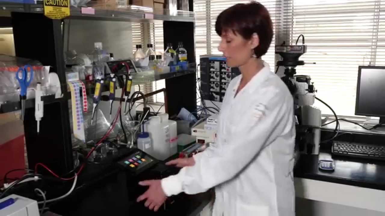 The New Implen NanoPhotometer NP80 and Spectrophotometer Family - YouTube