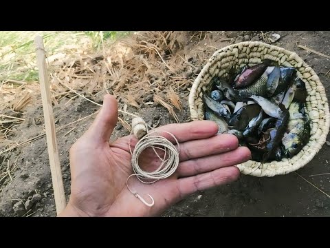 Primitive Technology: Making primitive Fishing rod | Fishing hooks ...