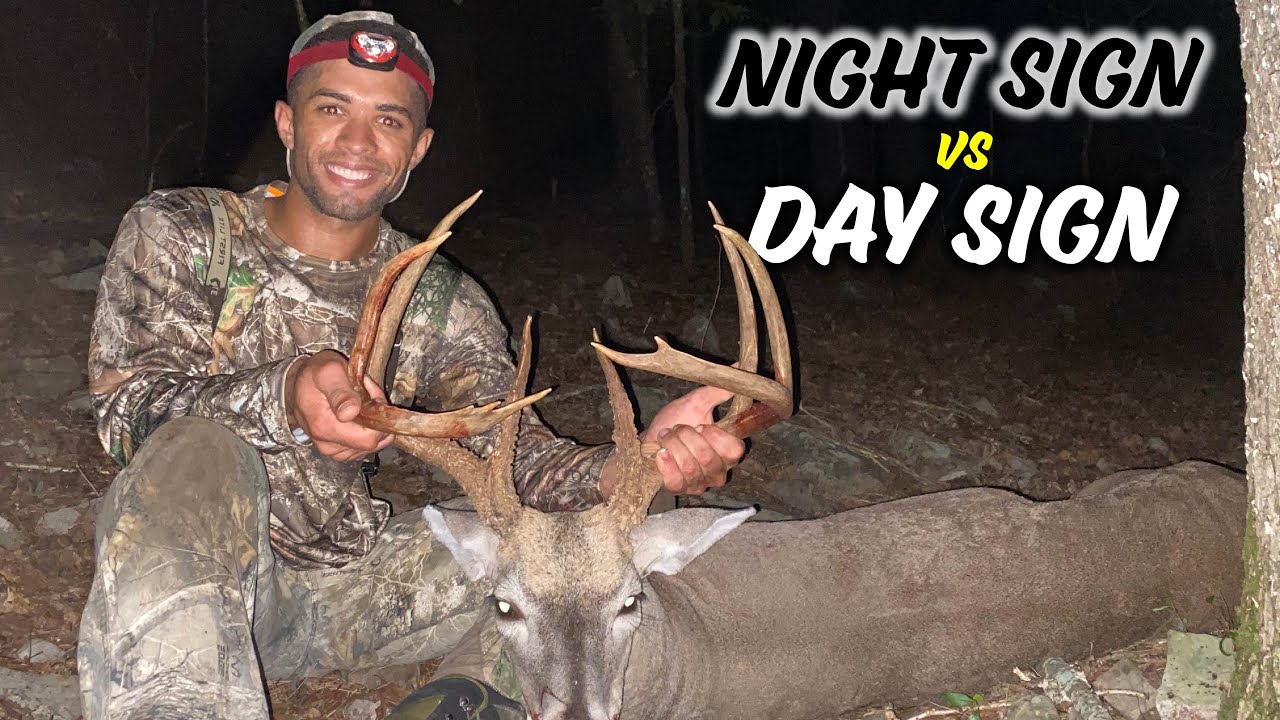 RULE OF THUMB for Knowing if BUCK SIGN was Made AT NIGHT or IN THE DAY ...
