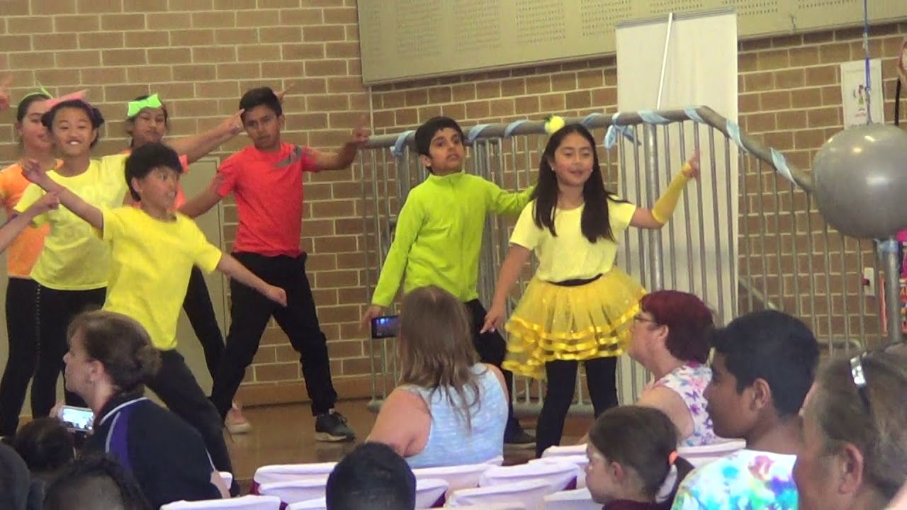 4B Class Presentation 2017(Doonside Public School "80th Anniversary" 22 ...