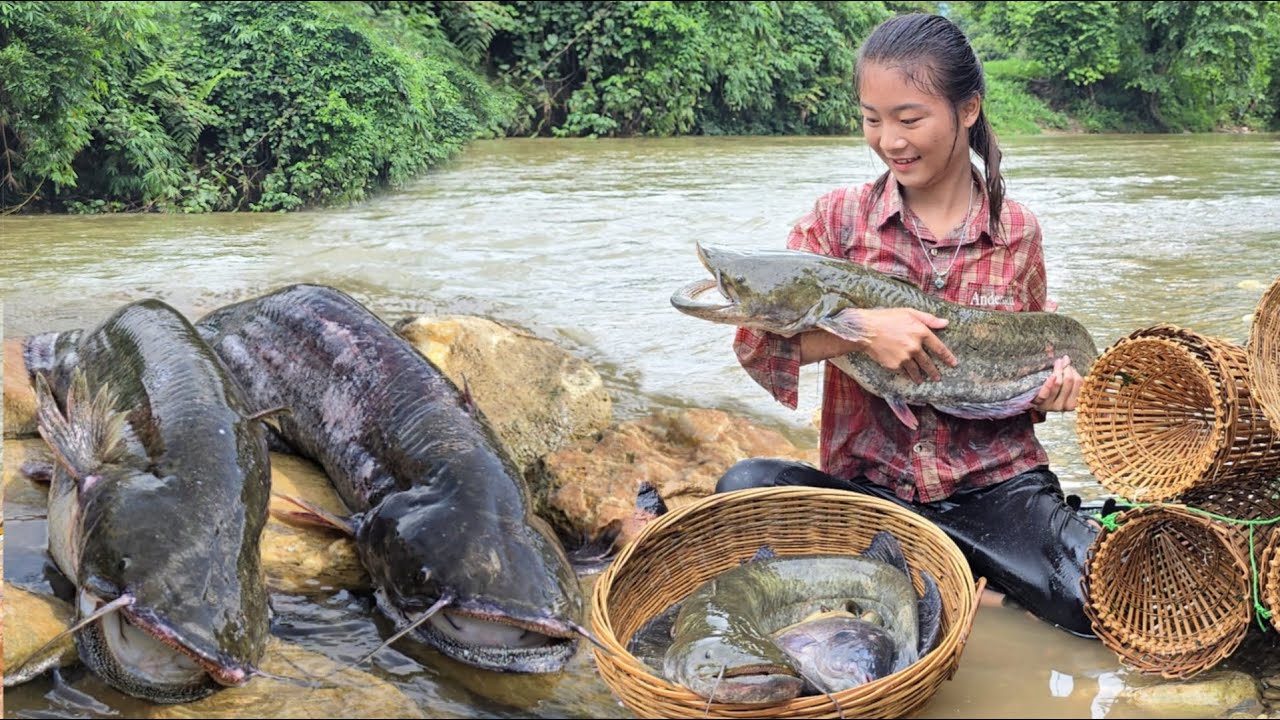 Vietnamese girl alone uses bamboo basket to catch big fish for a living ...