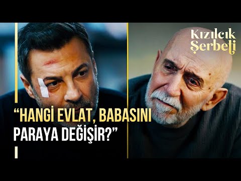Ömer, Hikmet'in hikayesini öğrenmeye başladı! | Kızılcık Şerbeti 113. Bölüm​