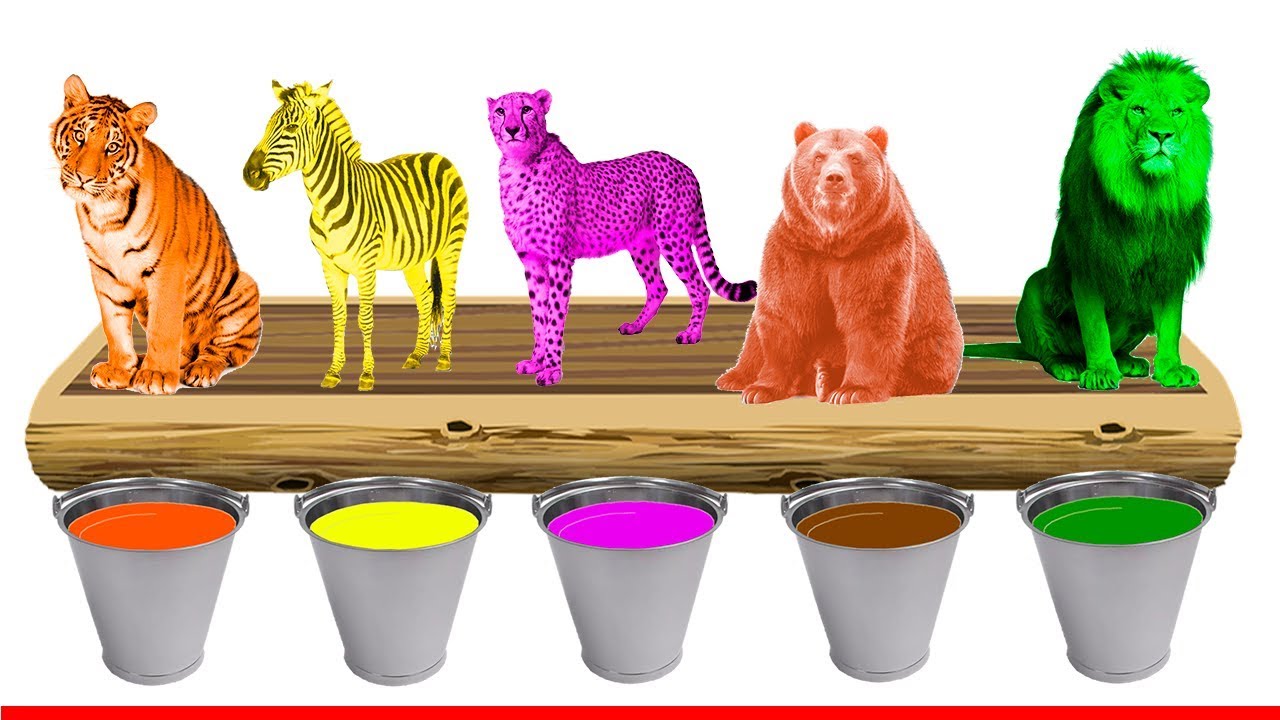 Wild Animals Bathing Colors Fun | Colors for Children to Learn with ...
