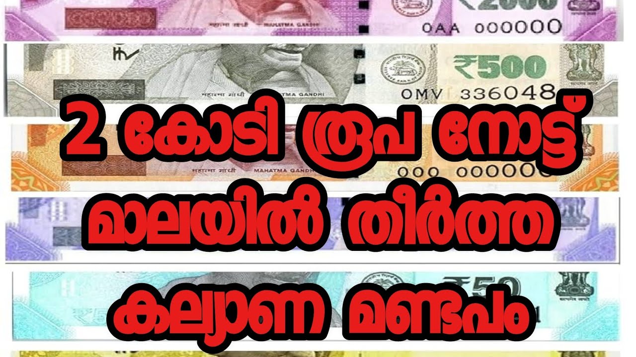 The wedding hall is decorated with a 2 crore note garland - YouTube