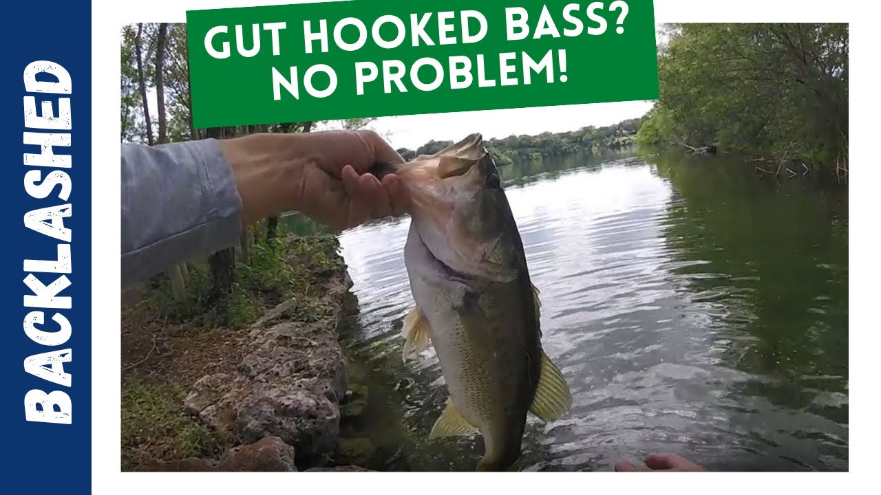 How to save a gut hooked Largemouth Bass, EASY! - YouTube
