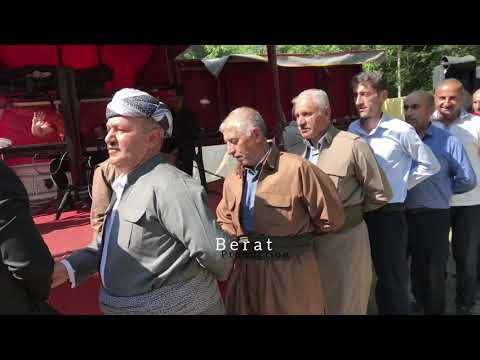 Oğuz Ailesinin Düğünde Şemdinli/Ecevit bay