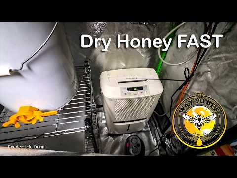 How To Dry Honey Down Fast Drying Tent Setup and Features