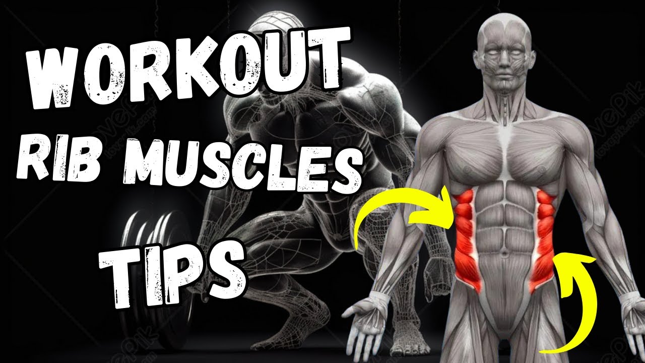 how to workout rib muscles - YouTube