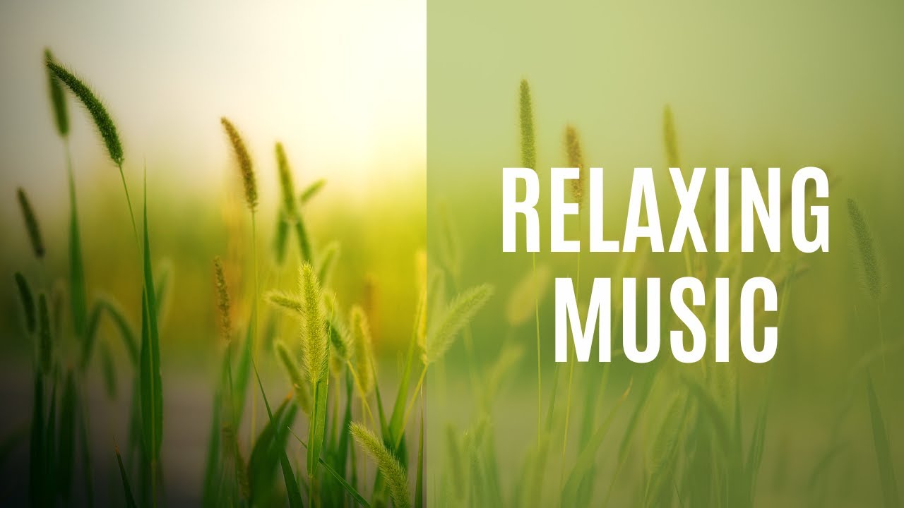 Beautiful Relaxing Music for Stress Relief, Calming Music, Stress ...