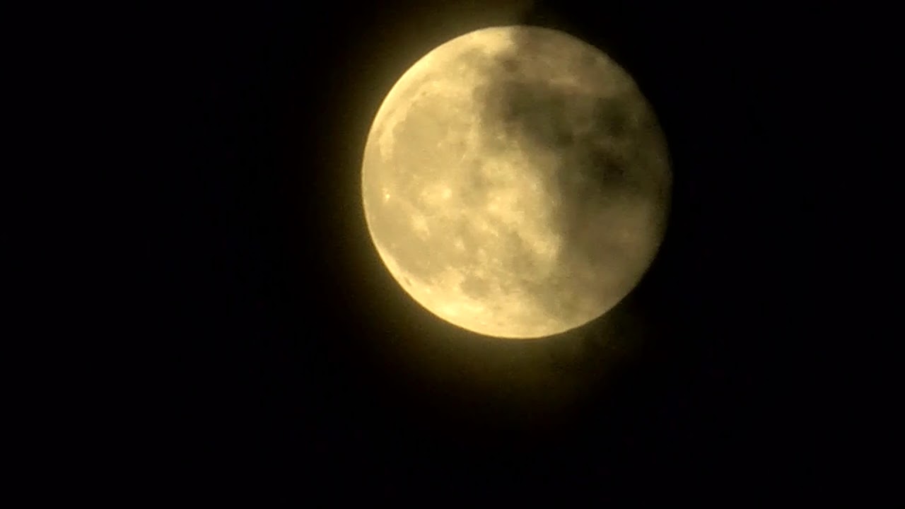 A Moment of Zen in the moonlight - YouTube