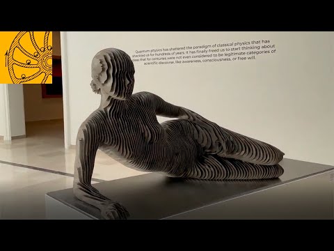 Reclining Woman - Disappearing sculpture #kineticart #kineticsculpture