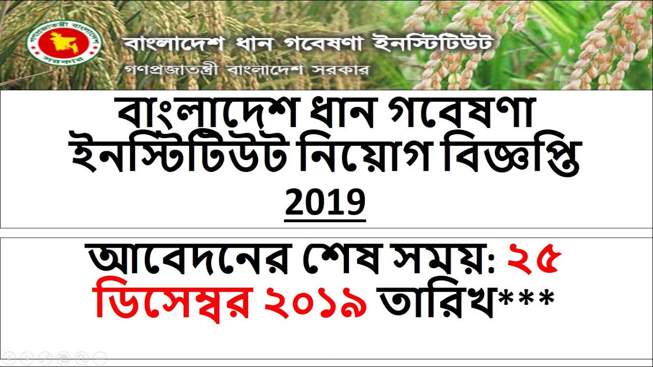 Bd jobs circular 2019 brri|Bd govt job 2019 today|Bdjobs latest - YouTube