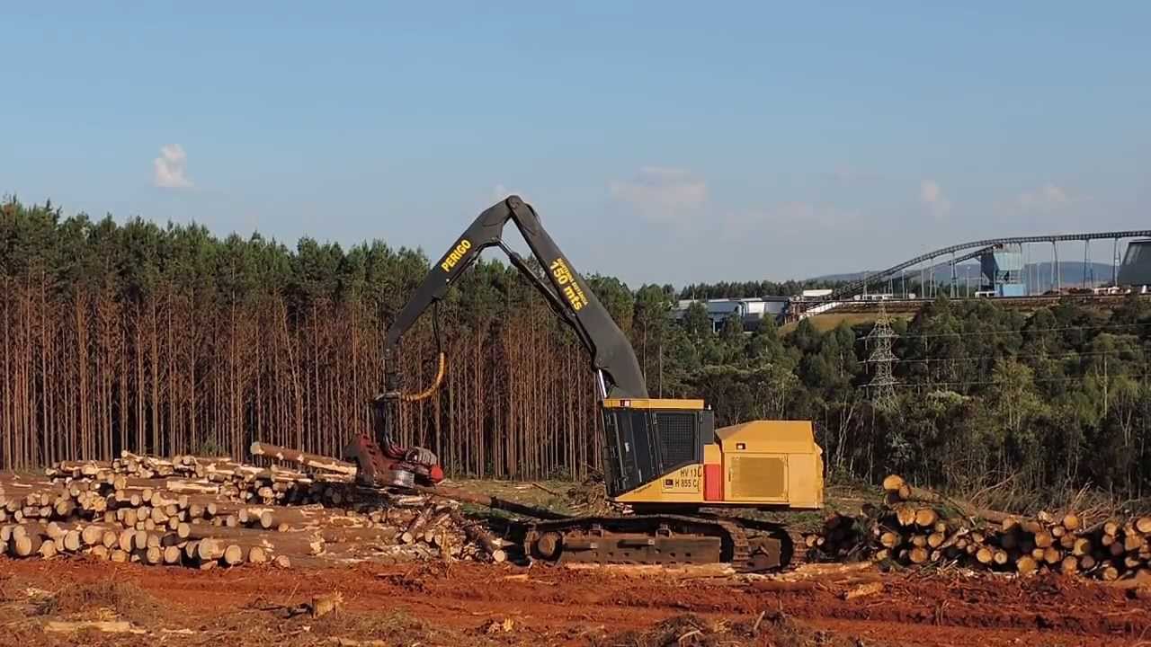 Tigercat Harvester H855C with Log Max 7000XT in Brazil - YouTube