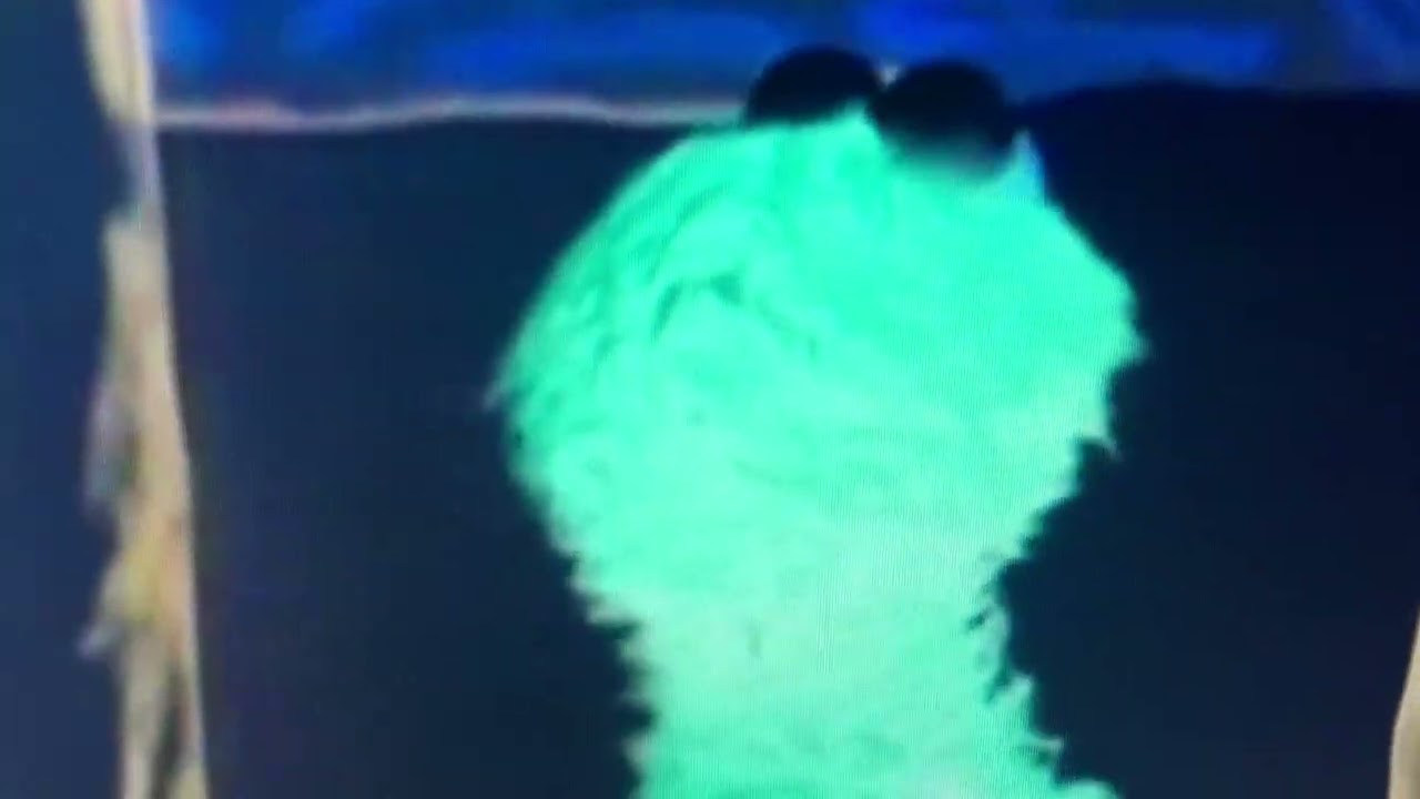 Elmo’s World Theme Song in G Major 7 - YouTube