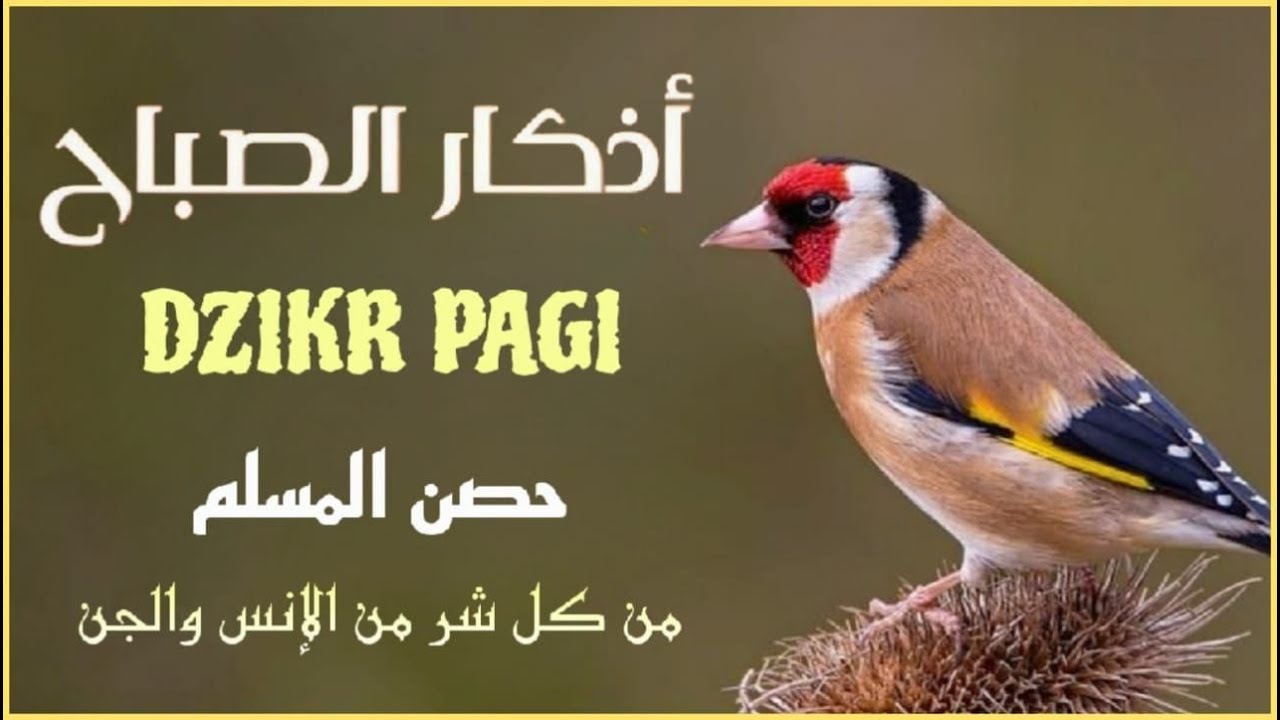 اذكار الصباح باجمل صوت ممكن تسمعه ️ القارئ انس محمد Morning Adhkar Youtube