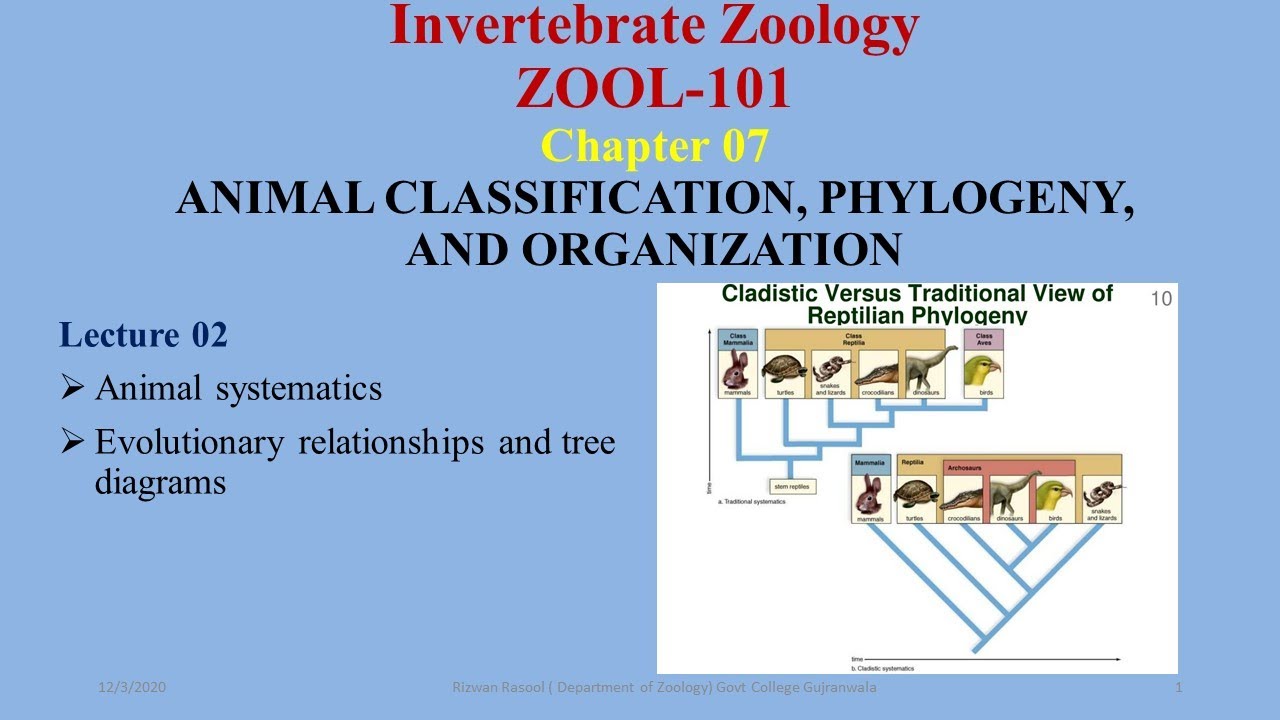 Animal Systematics #monophyletic #paraphyletic #polyphyletic # ...