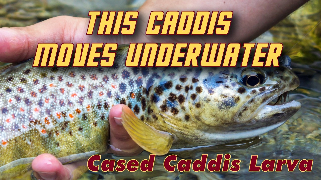 Tie a Cased Caddis That “Breathes” in Current (Buggy + Realistic) - YouTube