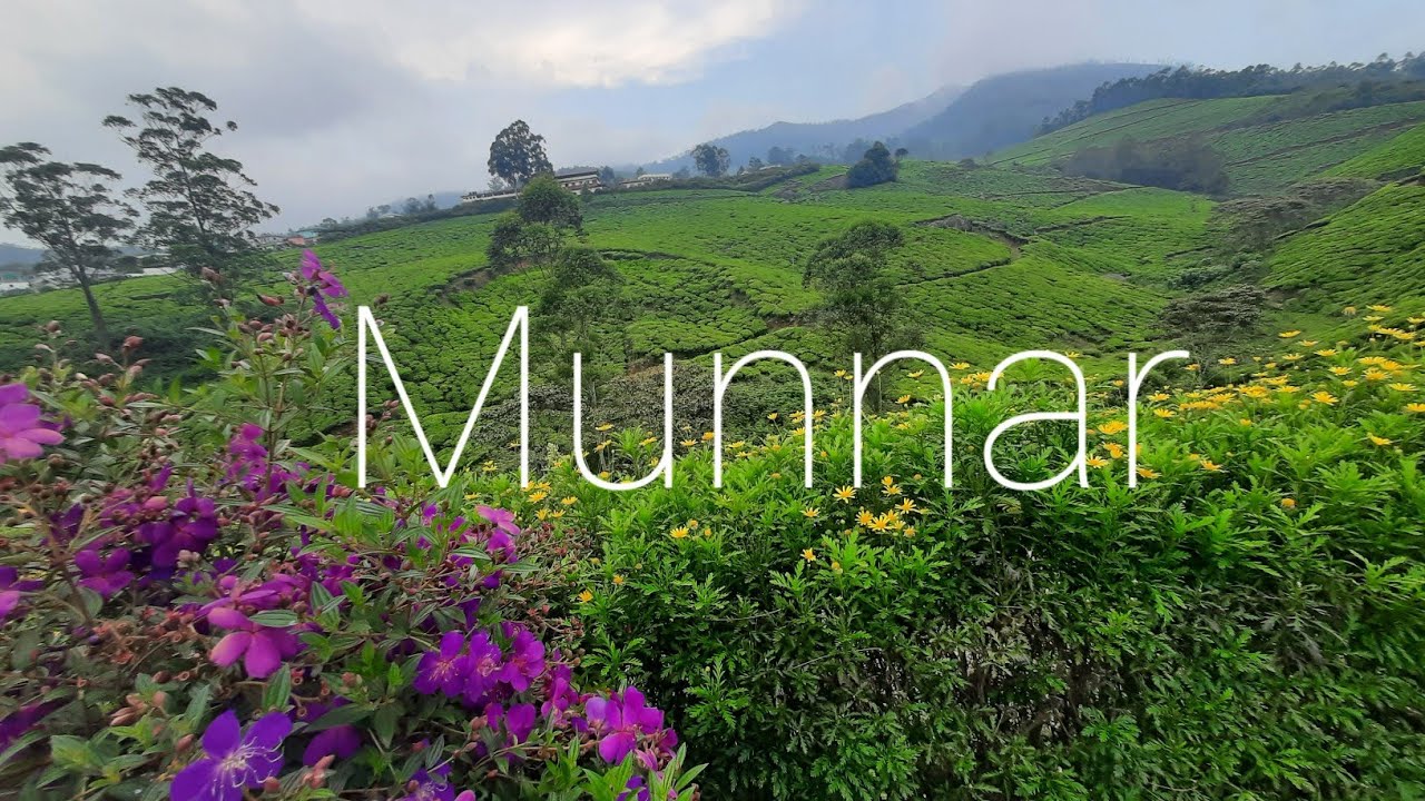Latest Munnar Video - YouTube