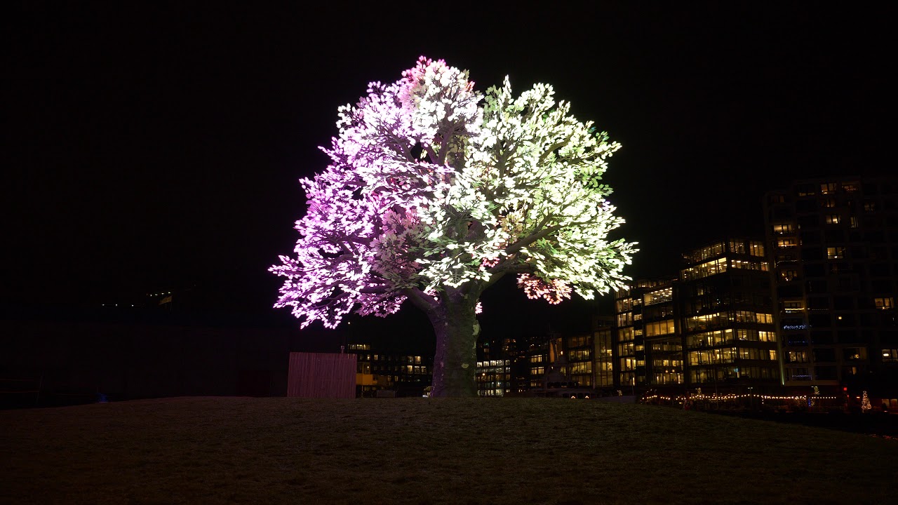 OSLO TREET - świecące drzewo w centrum Oslo *125 000 lamp LED* - YouTube