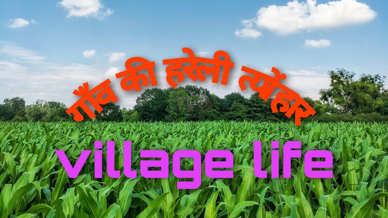 HARELI FESTIVAL|VILLAGE LIFE|हरेली का त्योहार|CHHATTISGARH|#VILLAGE ...