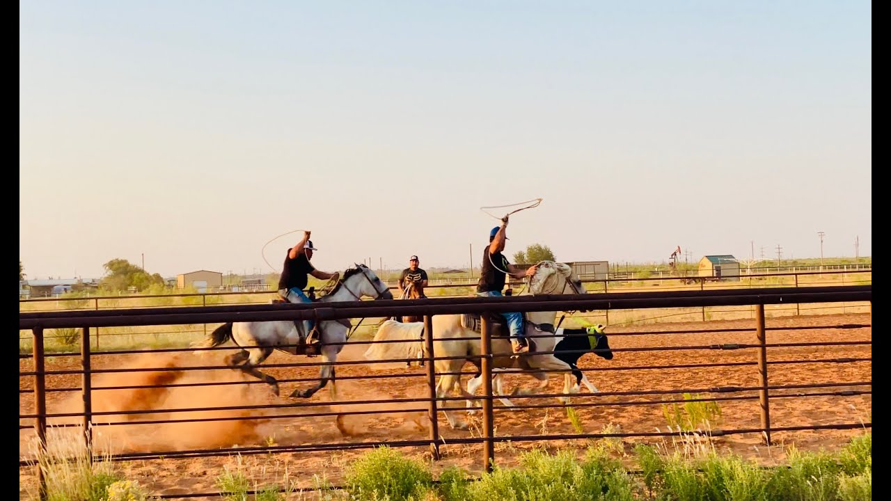 Fonseca’s Arena Roping Practice - YouTube
