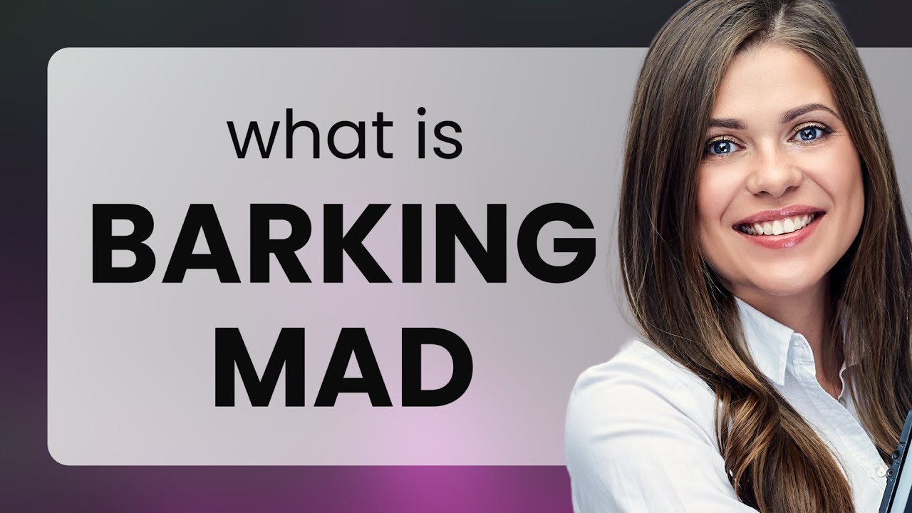Understanding the Phrase "Barking Mad" - A Guide to English Idioms ...