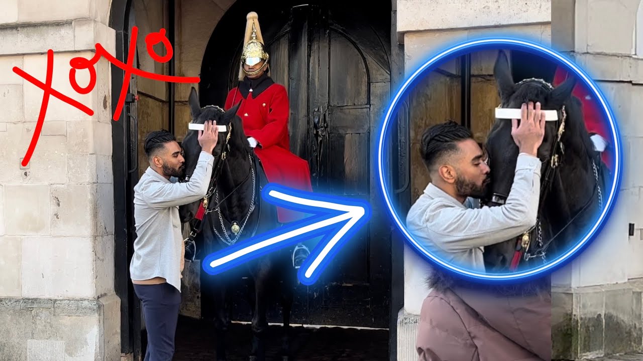 Will The Guard Allow Him To Do This? #thekingsguard - YouTube