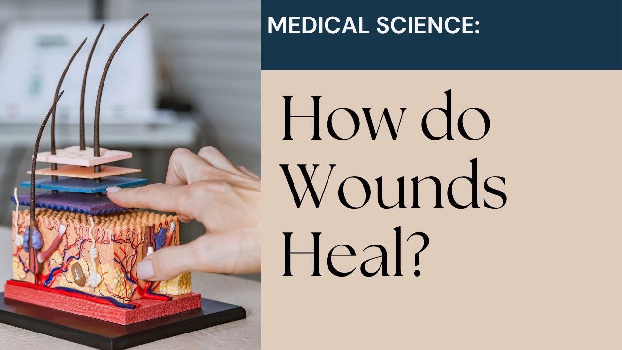 The Science of Wound Healing: Understanding the Body's Incredible ...