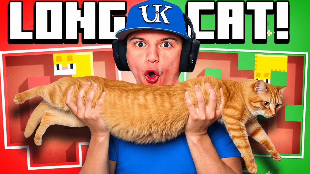 ¿Que tan largo puede ser el gato? | LongCat - YouTube
