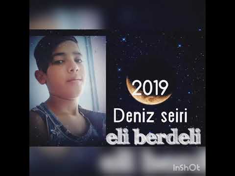 Eli berdeli deniz seiri 2019