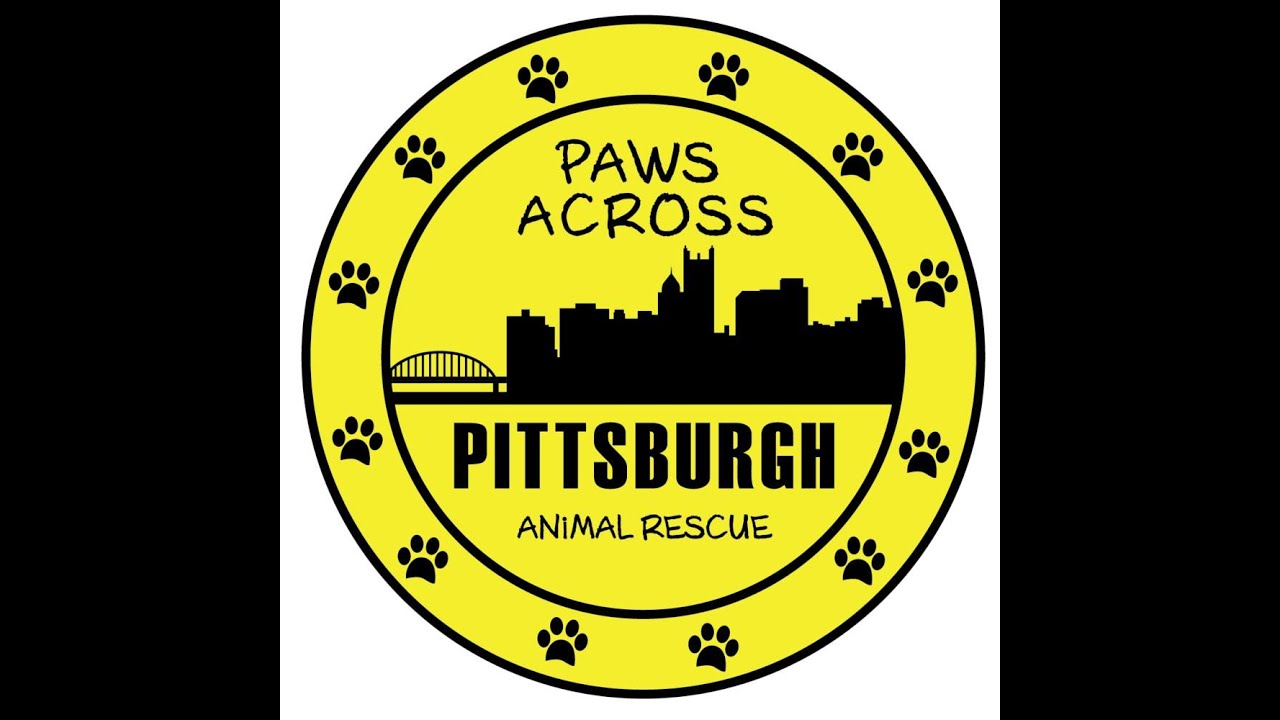 Updated PAWS PPT August 20252 - YouTube