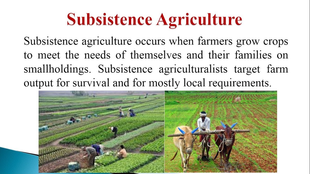 Lecture No 06, Types of Subsistence Agriculture - Commercial Geography ...