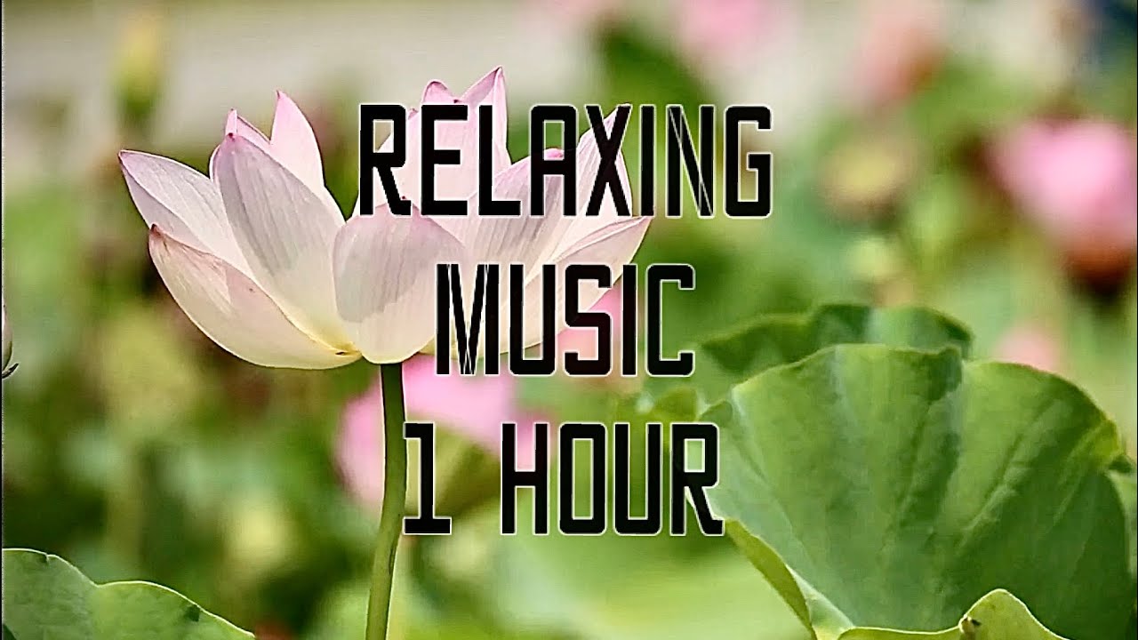RELAXING MUSIC - 1 hour | Best Spring Relaxation, Calm Music and Deep ...