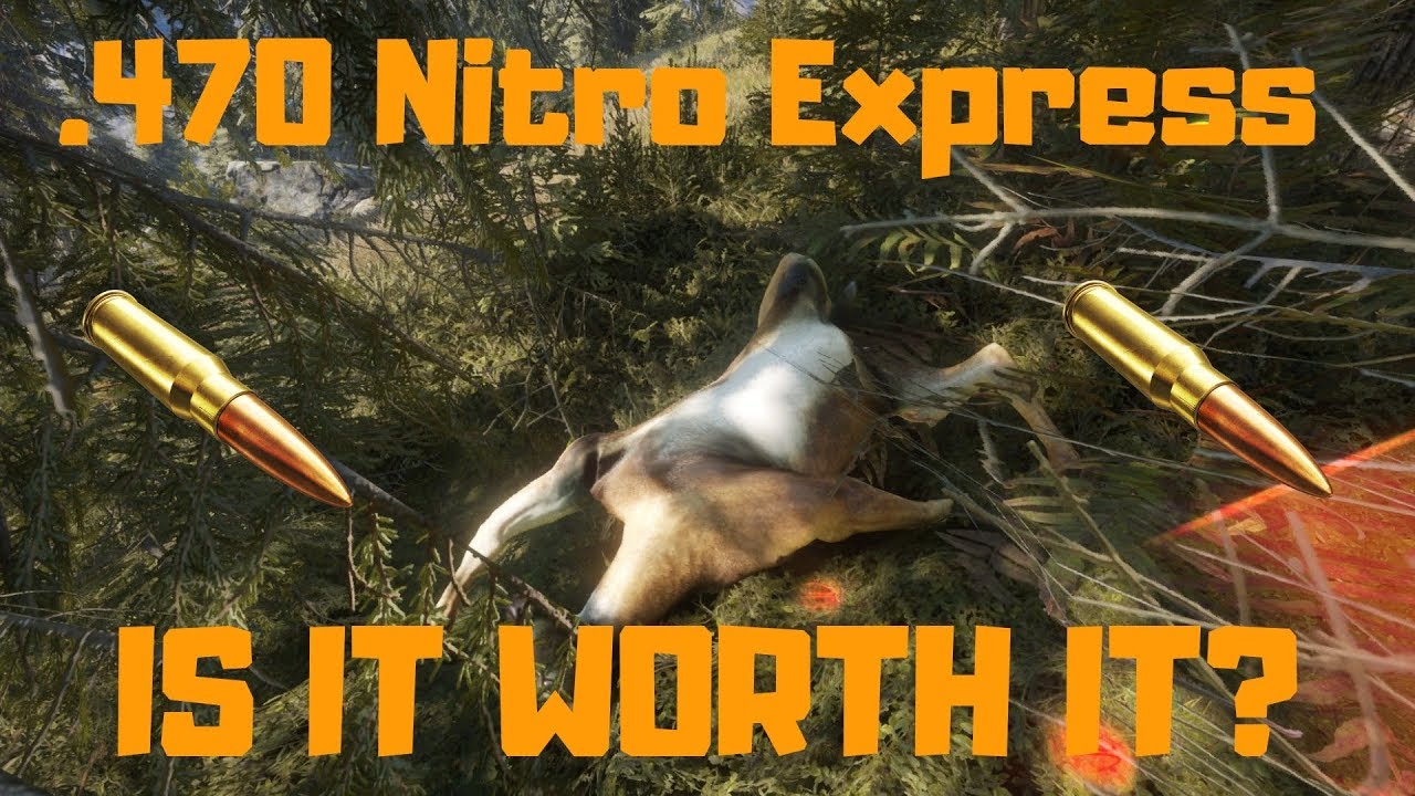 The Hunter: Call Of The Wild .470 Nitro Express Review! - YouTube