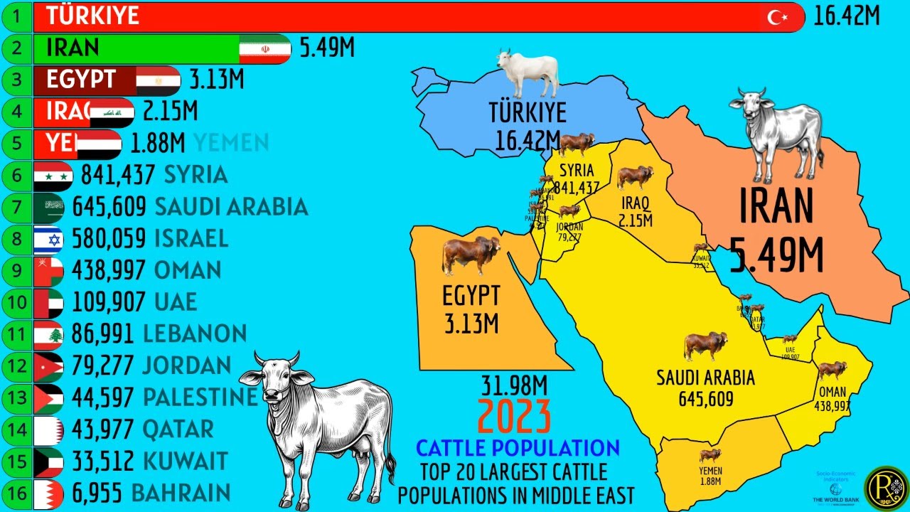 TOP LARGEST CATTLE POPULATIONS IN MIDDLE EAST - YouTube