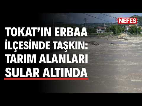 Tokat'ın Erbaa ilçesinde taşkın: Tarım alanlarını su bastı